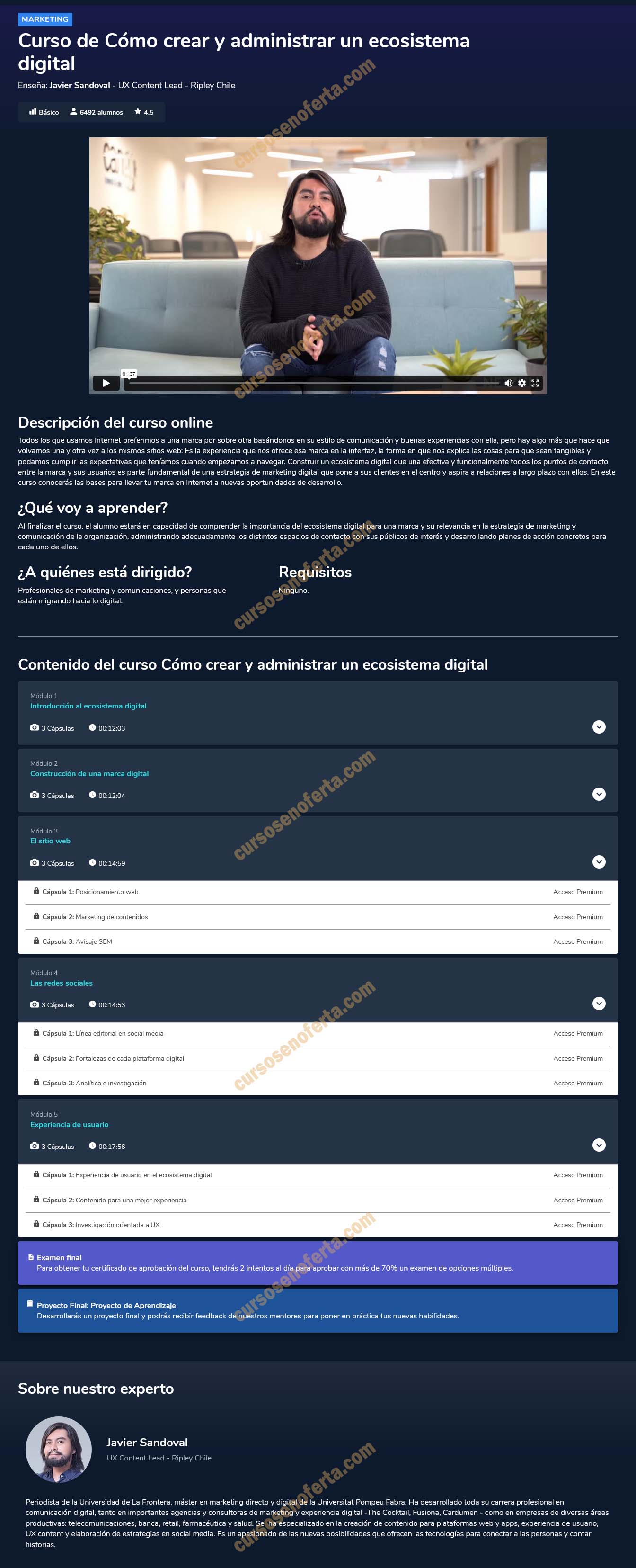 Cómo crear y administrar un ecosistema digital - Netzun ... Cómo crear y administrar un ecosistema digital - Netzun ...